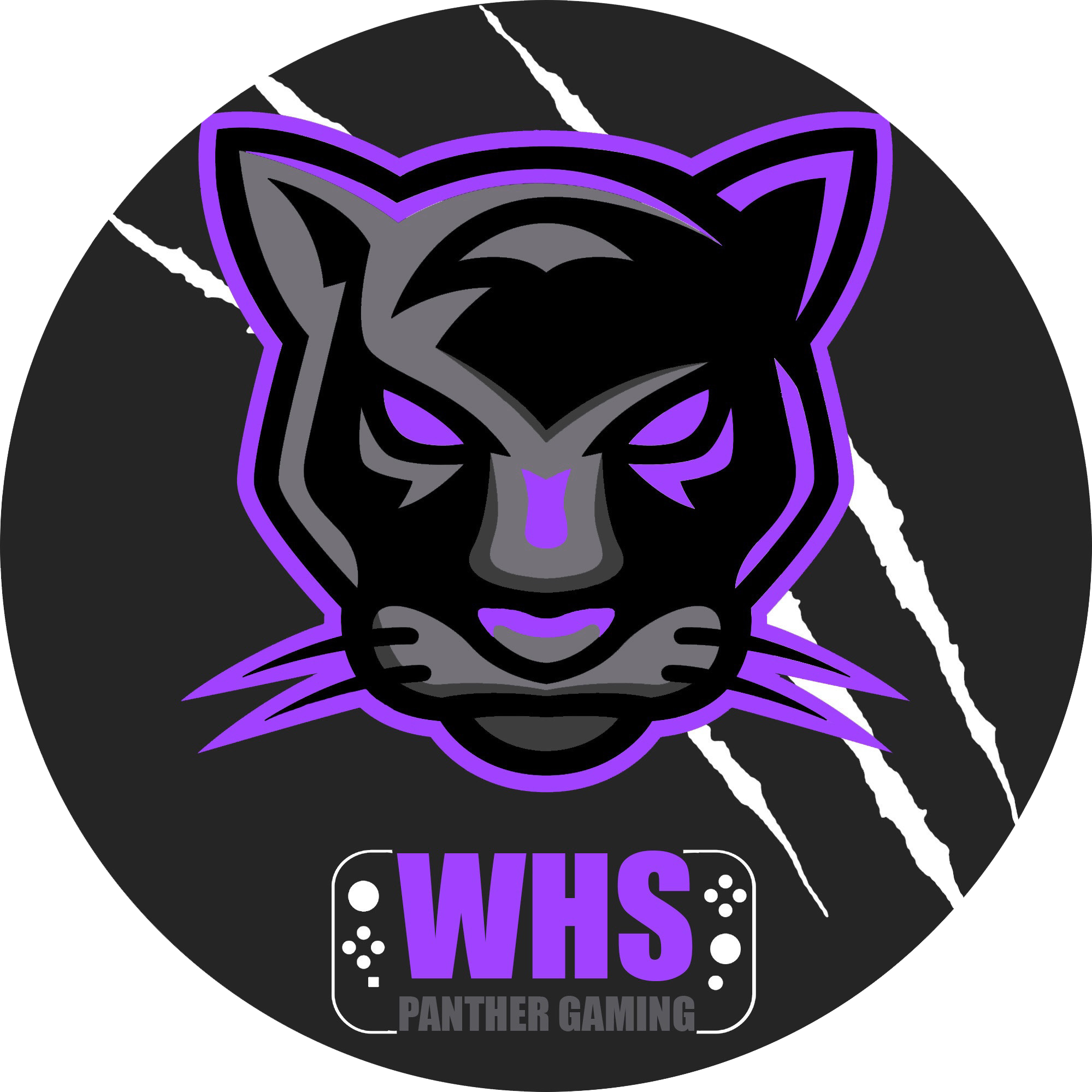 EBR Teams - EBRPSS Esports