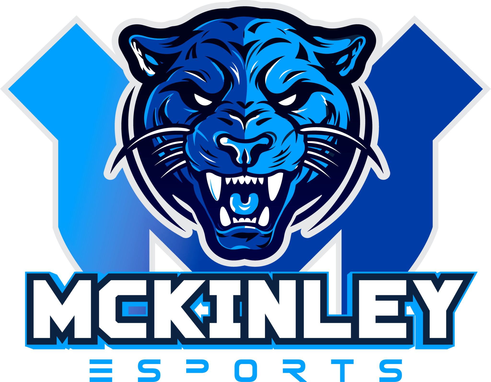 EBR Teams - EBRPSS Esports