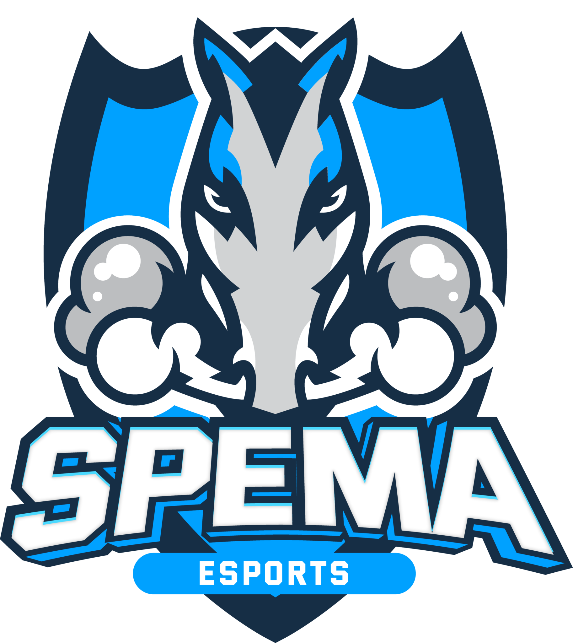 EBR Teams - EBRPSS Esports