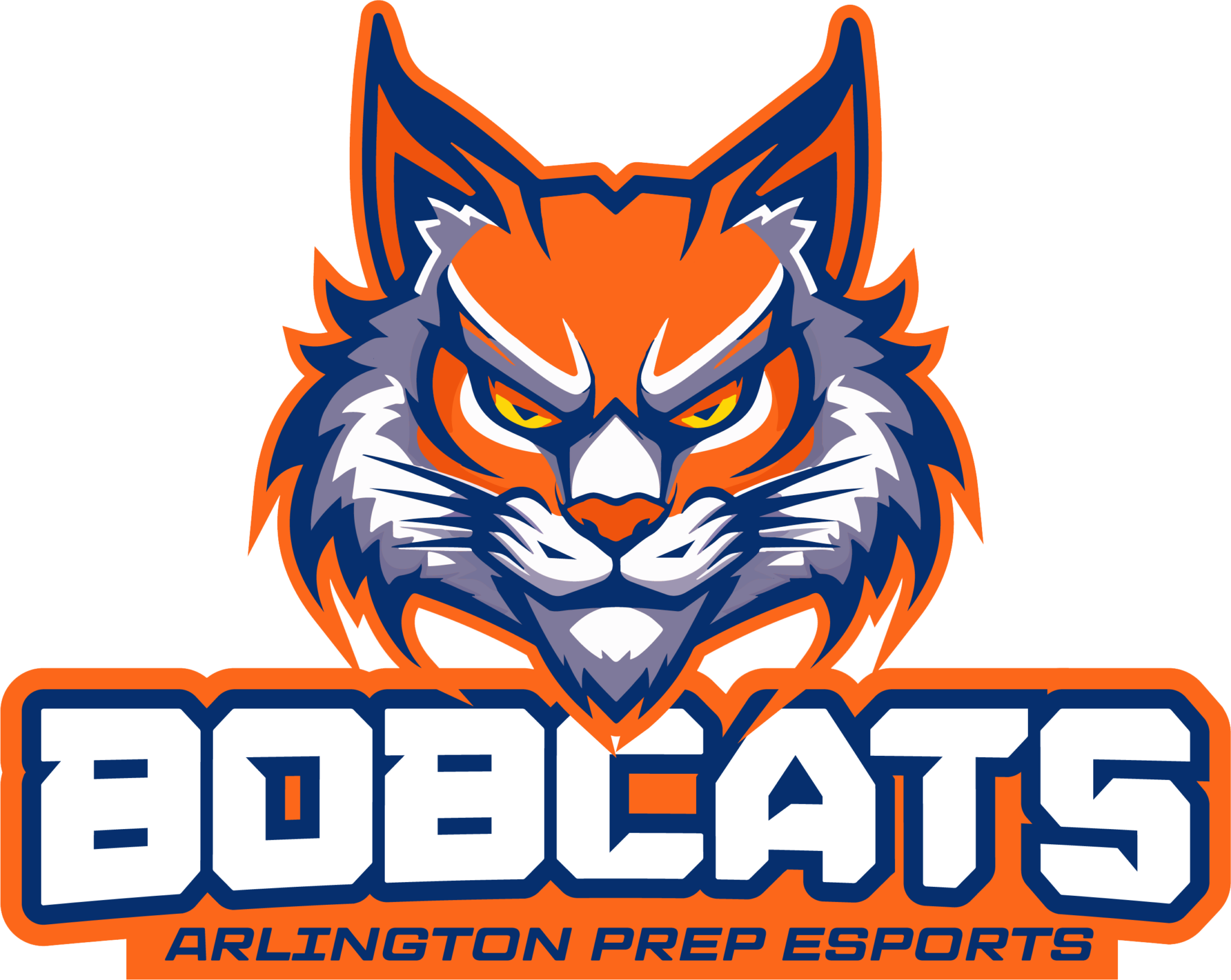 EBR Teams - EBRPSS Esports